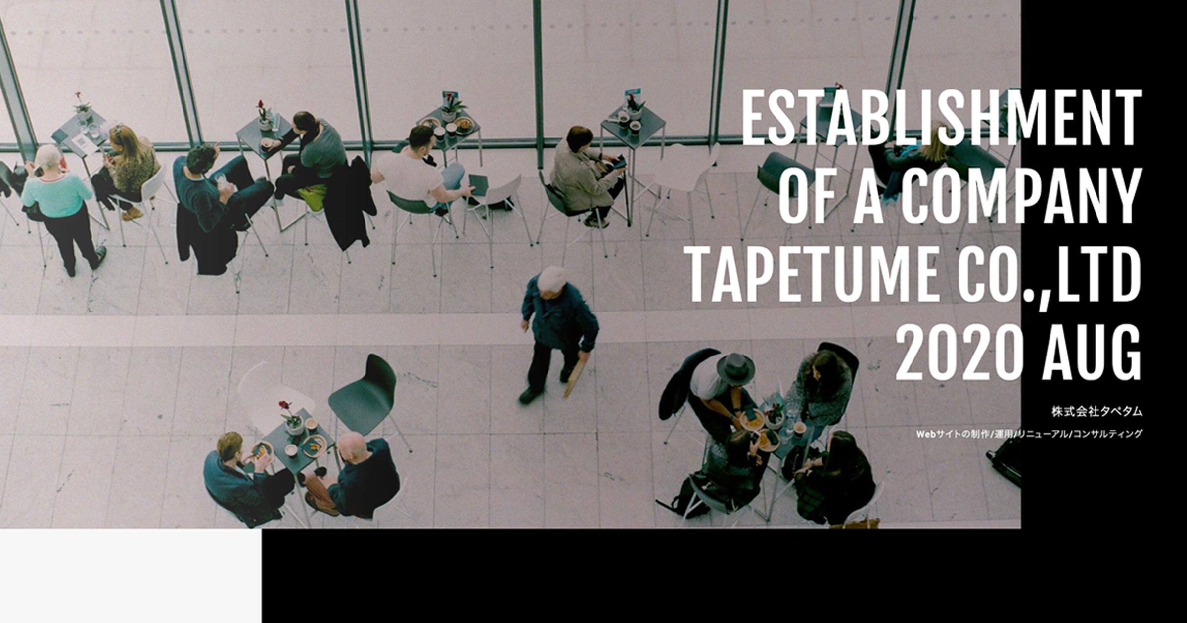 株式会社タペタムWEBサイト公開 | 株式会社Tapetum-タペタム